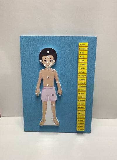 Parts of the body 3D school project – Family book shop